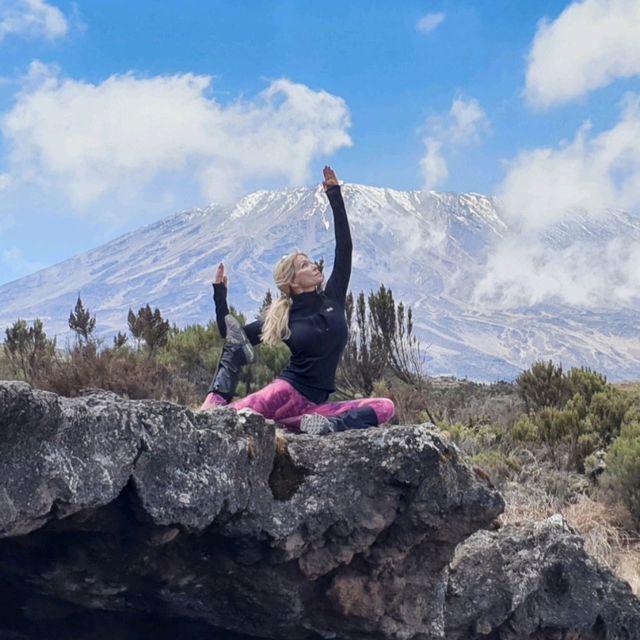 Free Flow Any Sequence Any Asana by 𝔻𝕖𝕤𝕖𝕣𝕥 𝔽𝕠𝕩🦊 🌟 - Exercise How-to ...