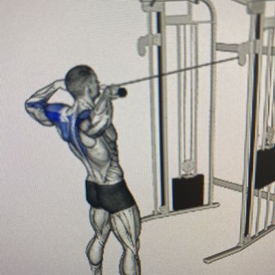 Banded Pull-ups by Sérgio F. - Exercise How-to - Skimble