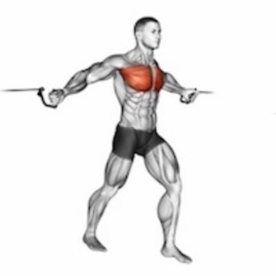 Lat Prayer by Sérgio F. - Exercise How-to - Skimble