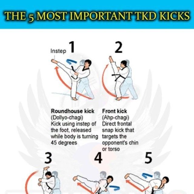 Taekwondo Kicks by Karlene M. - Exercise How-to - Skimble