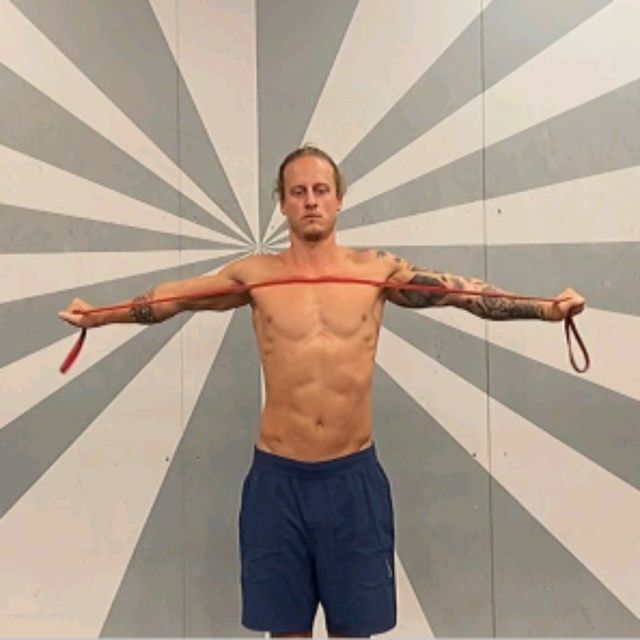 Bands Pulls Front by Alex 🌊. - Exercise How-to - Skimble