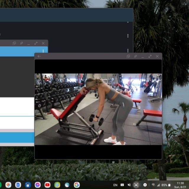 Lat Row by Kristine Norton - Exercise How-to - Skimble