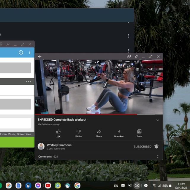 front pull by Kristine Norton - Exercise How-to - Skimble
