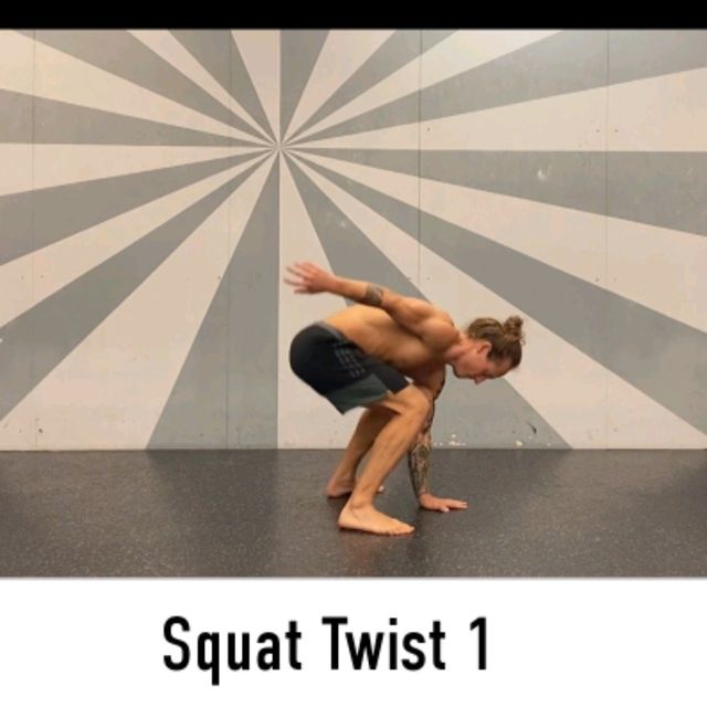 Squat Twist by Alex 🌊. - Exercise How-to - Skimble