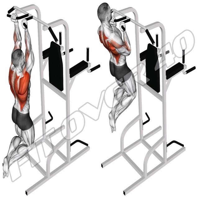 Supinated Narrow Grip Pull Up por Ftf40 Jan - Ejercicio Cómo hacerlo - Skimble