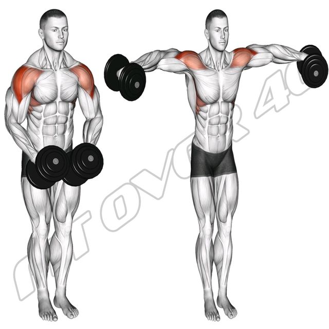 Dumbbell Standing Lateral Raise by Ftf40 Jan - Exercise How-to - Skimble