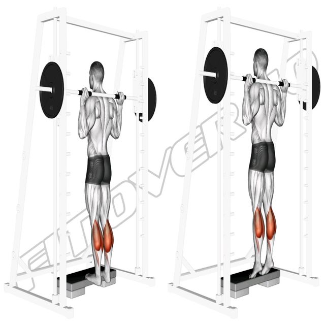 Smith Calf Rise by Ftf40 Jan - Exercise How-to - Skimble