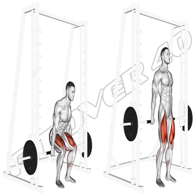 Smith Hack Squat by Ftf40 Jan - Exercise How-to - Skimble