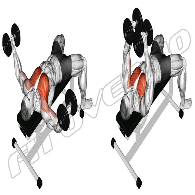 Dumbbell Fly Chest by Ftf40 Jan - Exercise How-to - Skimble