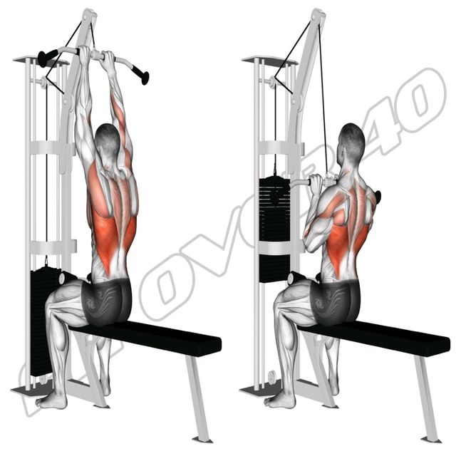 Cable Close Grip Pulldown by Ftf40 Jan - Exercise How-to - Skimble