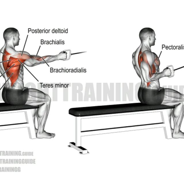 One Arm Cable Row by Myint H. - Exercise How-to - Skimble