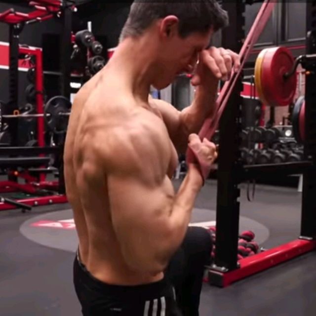 Hi-To-Low Kneeling Single Hand Row by Frank Roodenburg - Exercise How ...