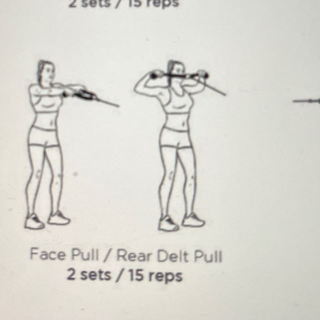 Face Pull by Stacey S. - Exercise How-to - Skimble