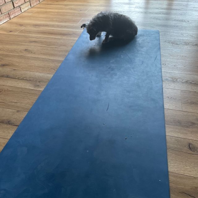 Lie Down On The Mat Transition by Natalya A - Exercise How-to - Skimble