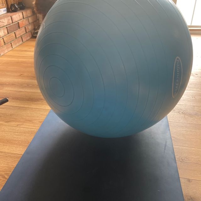 Get On The Ball by Natalya A - Exercise How-to - Skimble