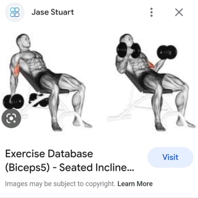 Seated Incline Dumbbell Curl by Chris L. - Exercise How-to - Skimble