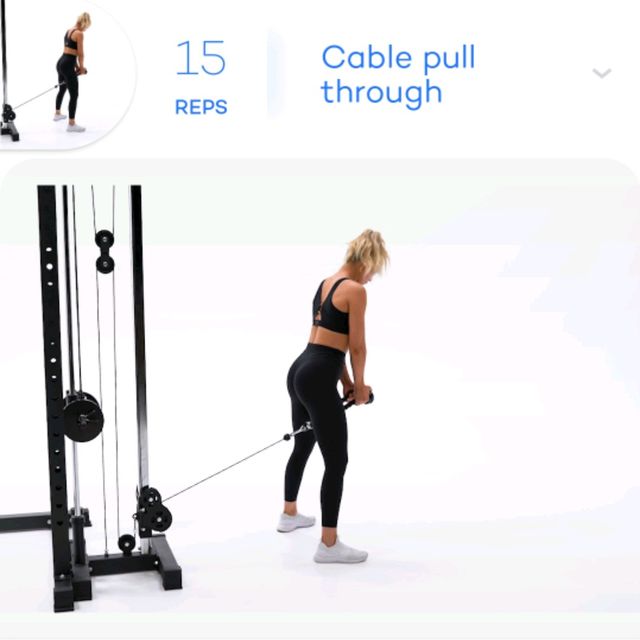 Cable Pull Through by Manuela B. - Exercise How-to - Skimble