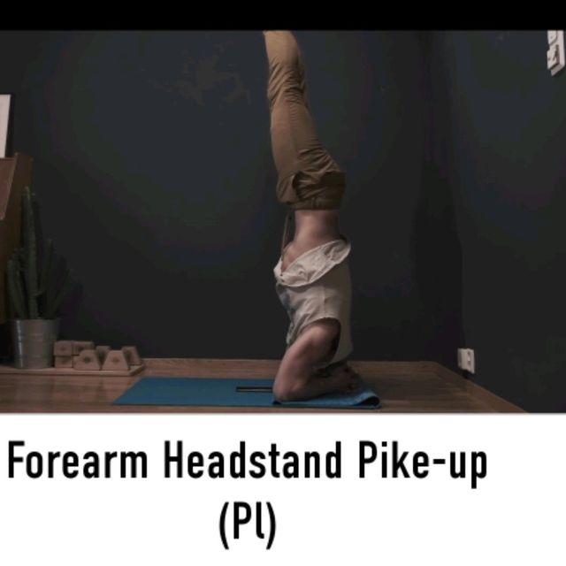 Forearm Headstand Pike-Up by Alex 🌊. - Exercise How-to - Skimble