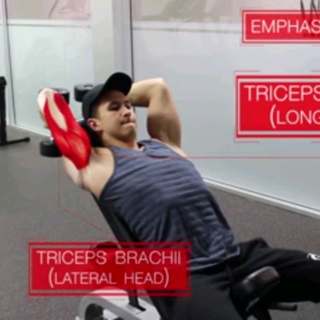 Bench Triceps by Manuela B. - Exercise How-to - Skimble