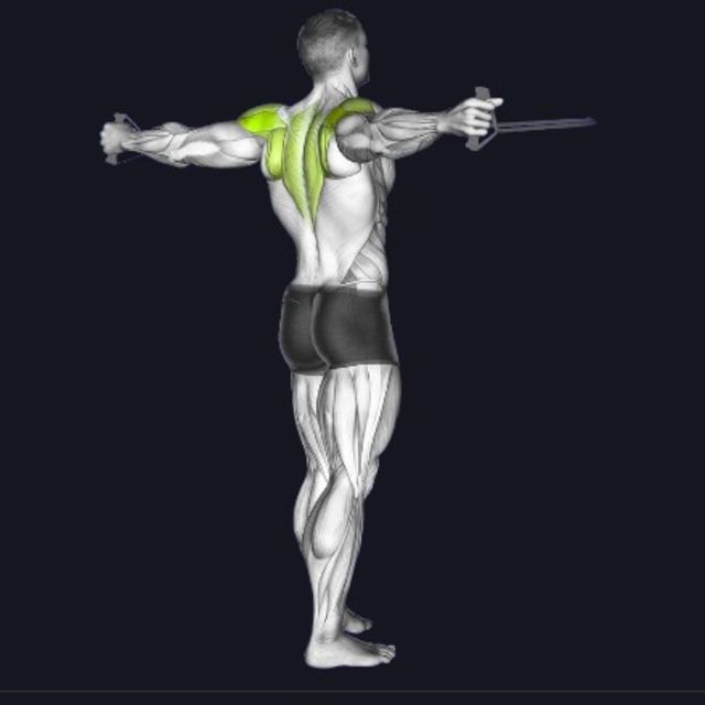 Reverse Butterfly with Band by Alex Ananda - Exercise How-to - Skimble