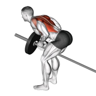 Prowler Sled Push by John T. - Exercise How-to - Skimble