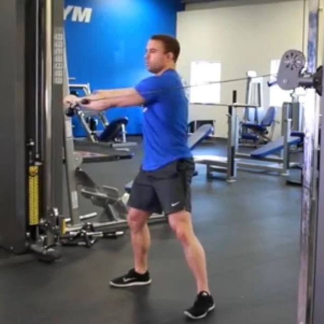 Cable Anti-Rotation In Half Squat by Gabi Wolosik - Exercise How-to ...