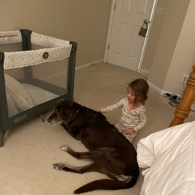 Alternating by Elizabeth Bolling - Exercise How-to - Skimble