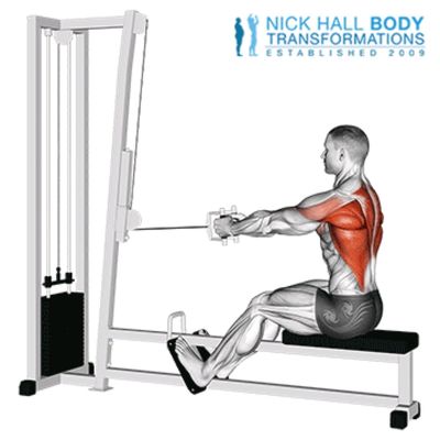 Seated Leg Curls by Dinalva Oliver - Exercise How-to - Skimble