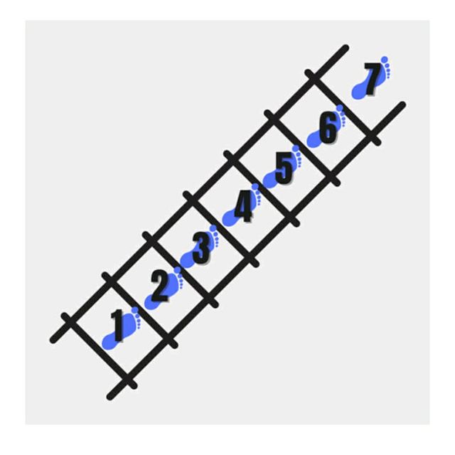 Forward Hop Plyometric Ladder Drill by Kimberly C - Exercise How-to ...