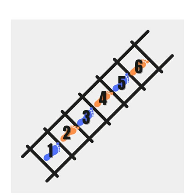 Single Foot Run Plyometric Ladder Drill by Kimberly C. - Exercise How ...