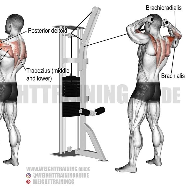 Face Pulls por Elizabeth Helmick - Ejercicio Cómo hacerlo - Skimble