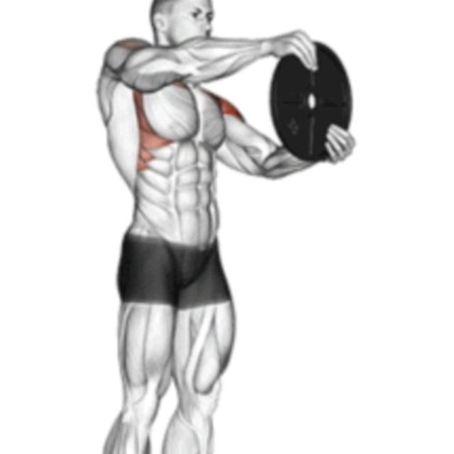 Circular Plate Raises by 𝔻𝕖𝕤𝕖𝕣𝕥 𝔽𝕠𝕩🦊 🌟 - Exercise How-to - Skimble