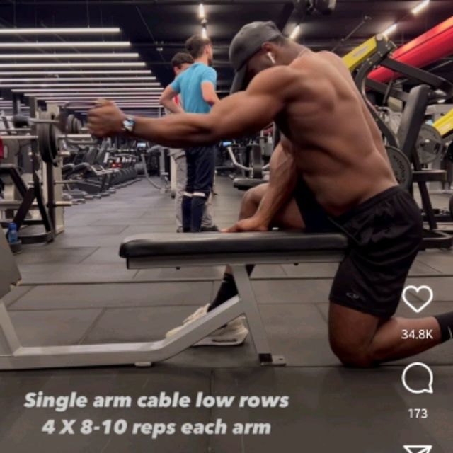 Single Arm Cable Low Rows by Martel Berry - Exercise How-to - Skimble