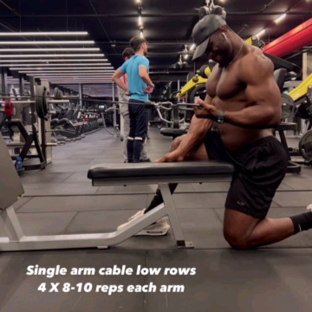 Single Arm Cable Low Rows by Martel Berry - Exercise How-to - Skimble