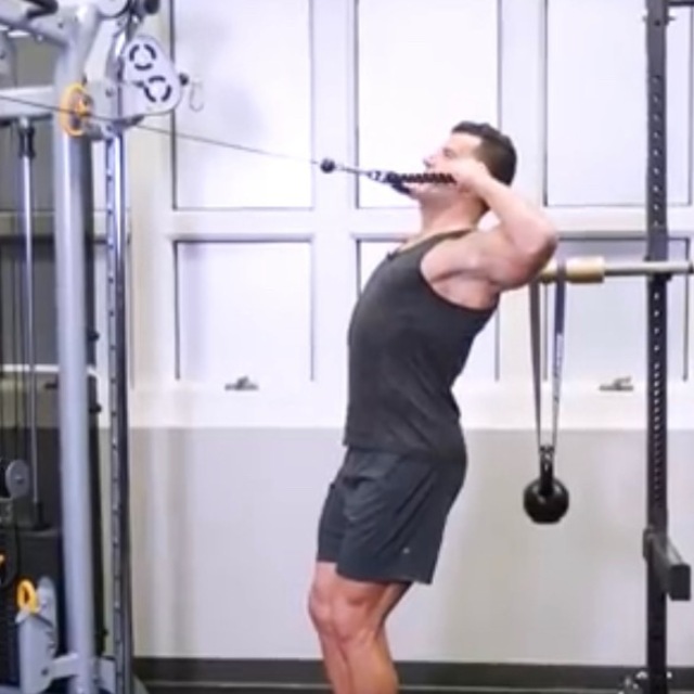Face Pull by Rob D - Exercise How-to - Skimble Workout Trainer