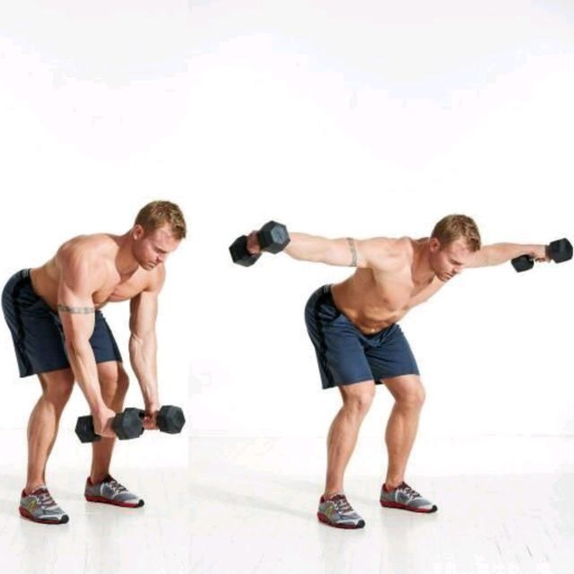 Bent dumbbell delt fly by Elliott Konieczka - Exercise How-to - Skimble