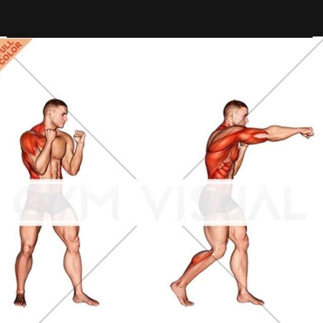 Right Cross by Elliott Konieczka - Exercise How-to - Skimble