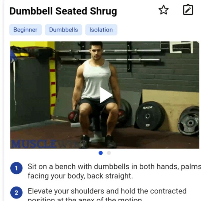 Dumbell Seated Shrug by Saadi Muhumed - Exercise How-to - Skimble