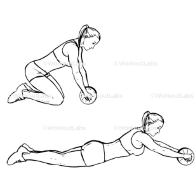 Abbs Roller by Karen L. - Exercise How-to - Skimble