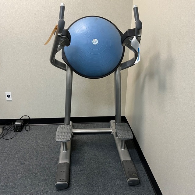 Bosu Knee Raises by Elliott Konieczka - Exercise How-to - Skimble