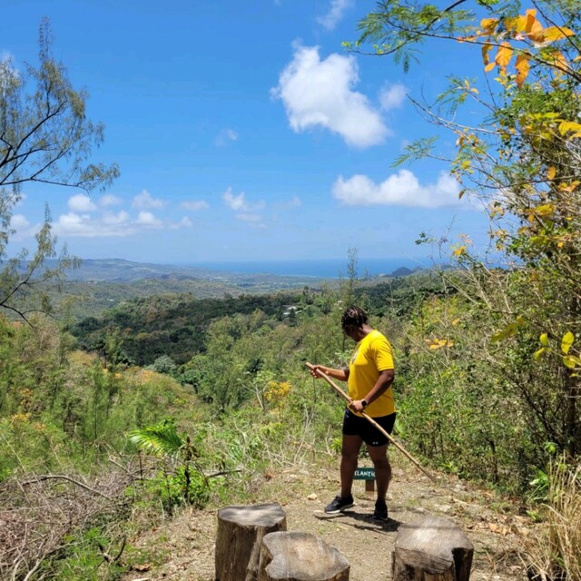 Treadmill Circuit - Free Full Body Workout by Tiffany W. - Skimble