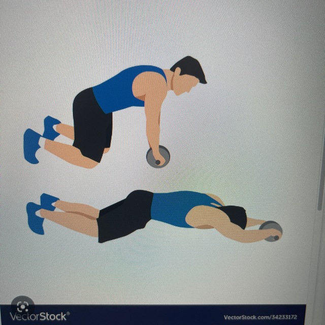 Ab Roller by Piotr Chopcian - Exercise How-to - Skimble