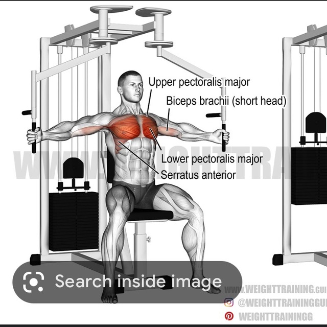 Pec Dec Flyes by Neale Davis - Exercise How-to - Skimble