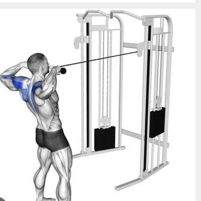 Hercules Curls by Neale Davis - Exercise How-to - Skimble