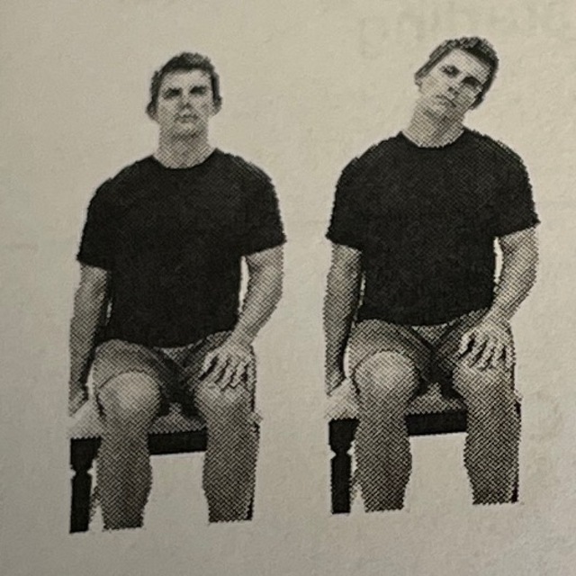 Upper Trap Chair Stretch by Courtney Gulledge Gibeault - Exercise How ...