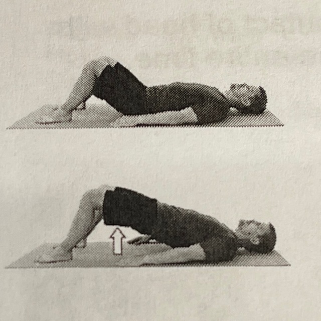 Glutes & Abdominal Bridging by Courtney Gulledge Gibeault - Exercise ...