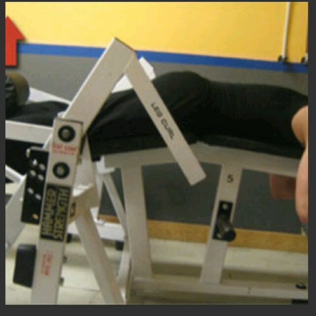 BENCH HAMSTRING CURLS by Kimberly C - Exercise How-to - Skimble