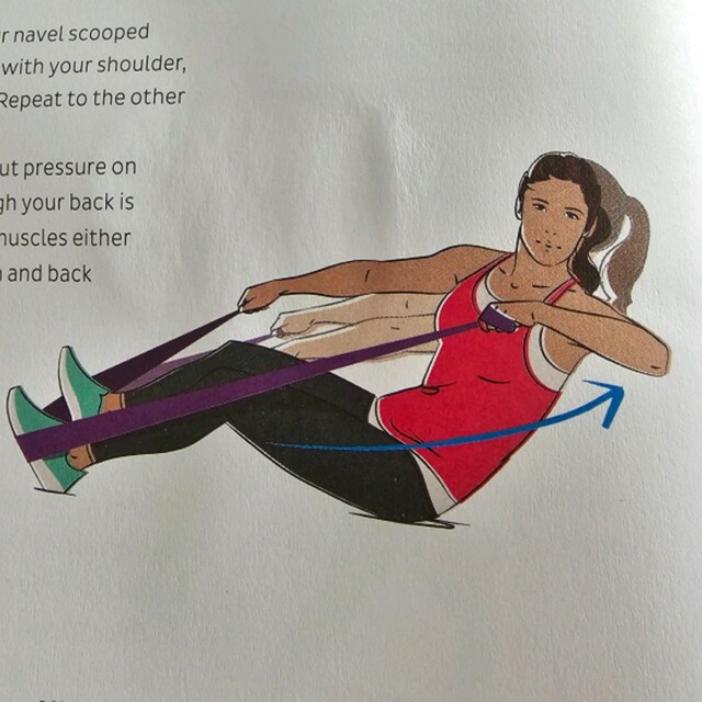 Recline High Rows by Donna Taylor - Exercise How-to - Skimble