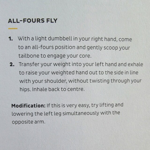 All Fours Fly by Donna Taylor - Exercise How-to - Skimble