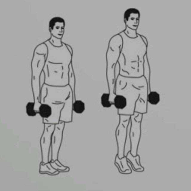 Calf Raises by Robbie De Clercq - Exercise How-to - Skimble